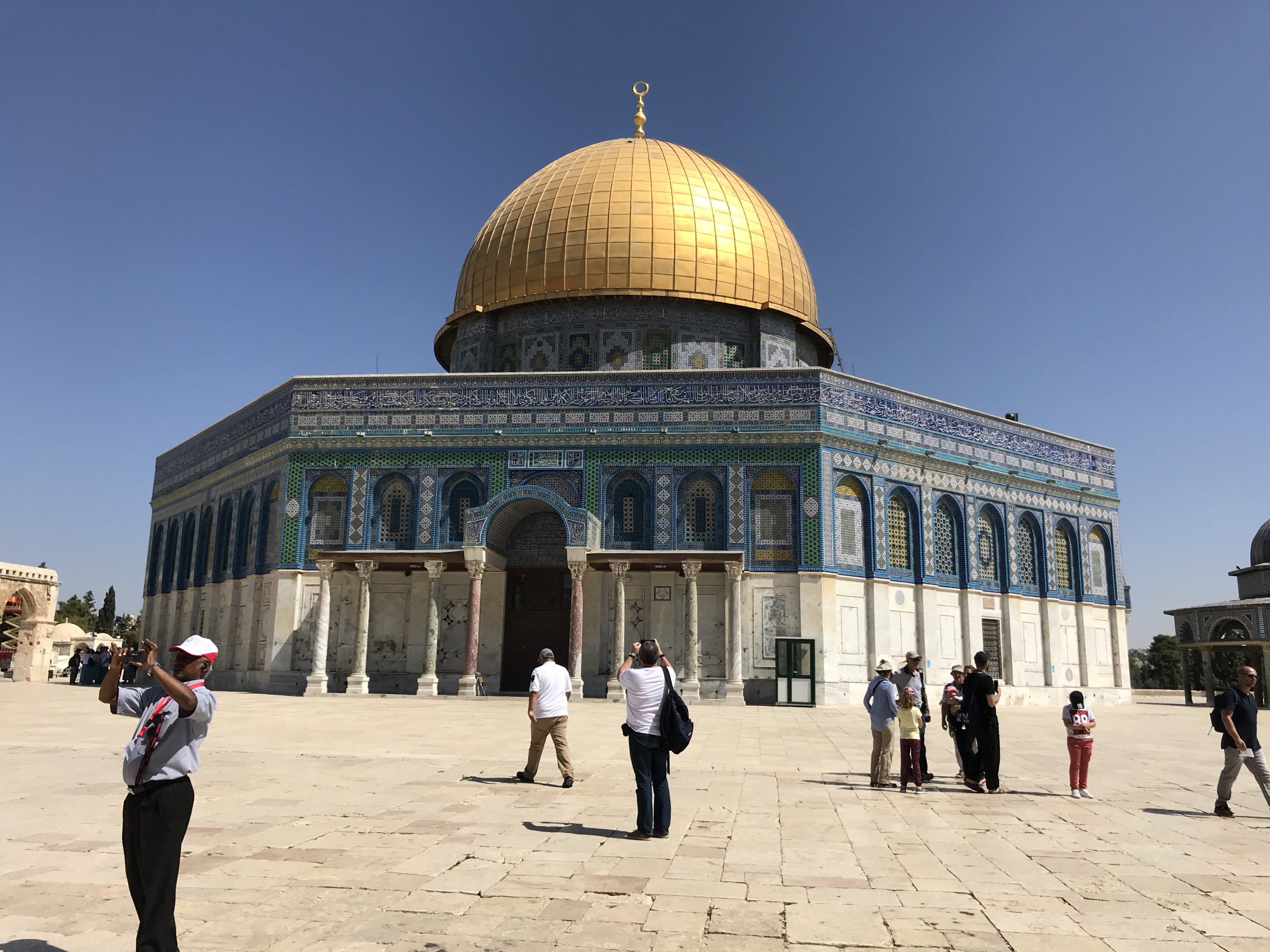 The Camel King - Yalla! Bureau